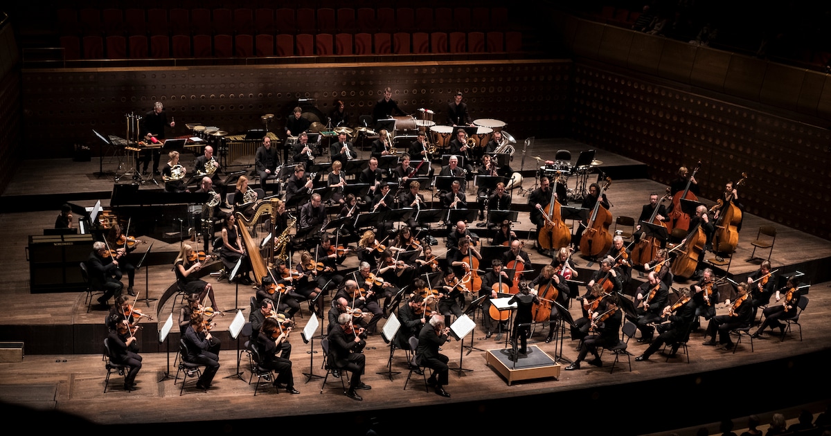 Ronan Tighe is nieuwe artistiek directeur van Antwerp Symphony ...