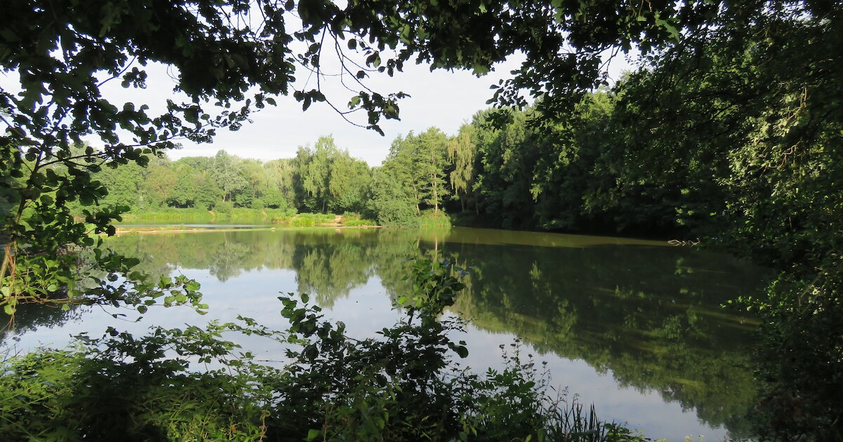 Zomerse avondwandeling in ’t Veld | Ardooie | HLN.be