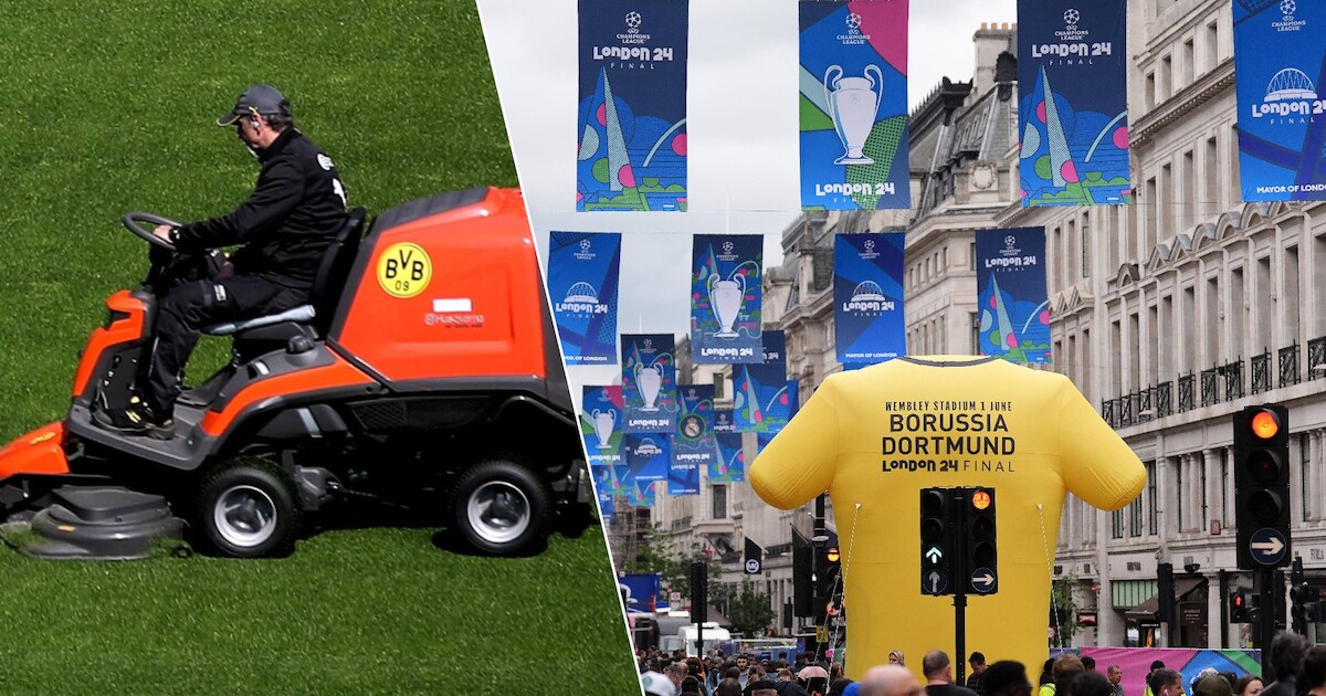 Van de kuisploeg en de tuinier, over de koks en stewards: Dortmund ...