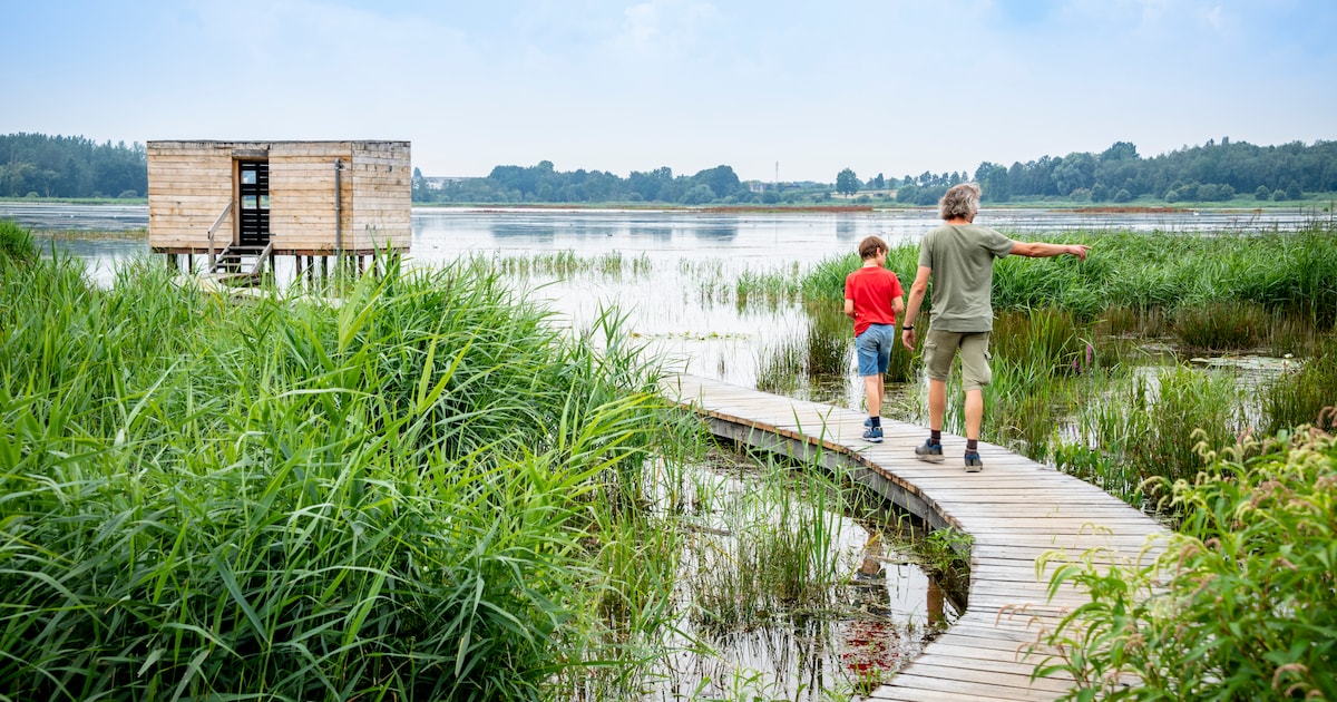 Provinciedomein Het Vinne erkend als natuurreservaat : “Belangrijke ...