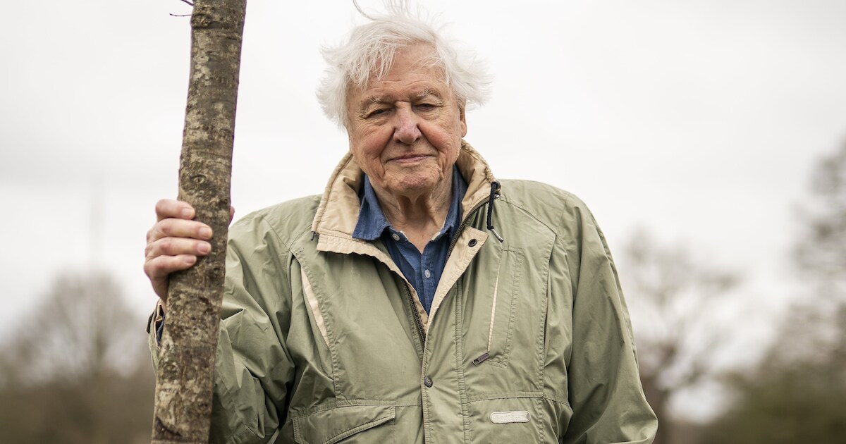 Einde van tijdperk: David Attenborough (97) presenteert laatste serie ...