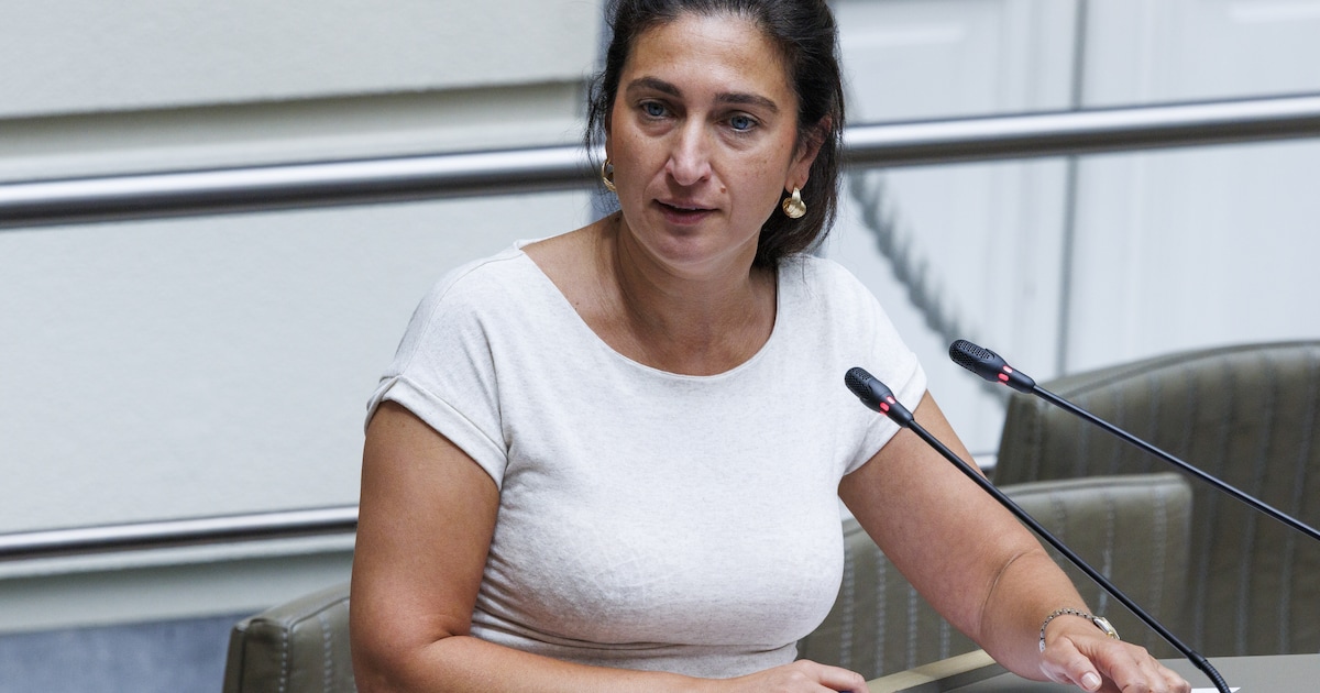 Federale regering werkt aan nieuw stelsel voor wie niet kan werken ...