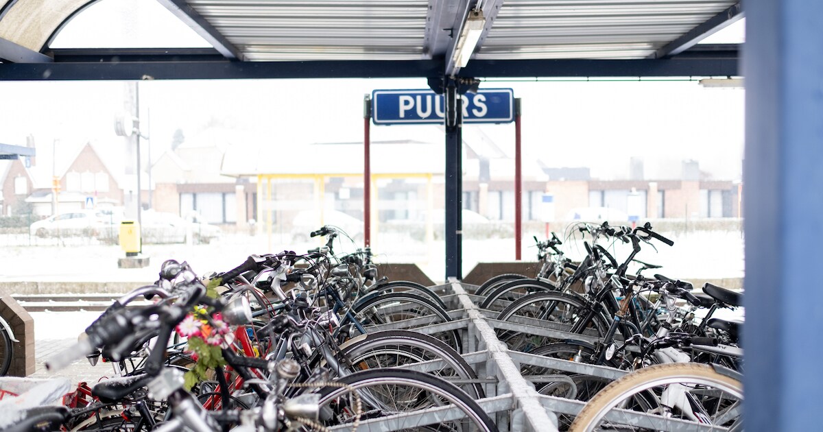 Puurs-Sint-Amands verkoopt weesfietsen | Puurs-Sint-Amands | hln.be