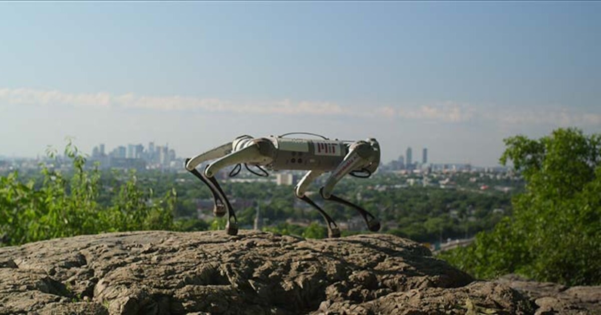 STREAMINGTIP. ‘Unknown: Killer Robots’: hoe veilig is artificiële ...
