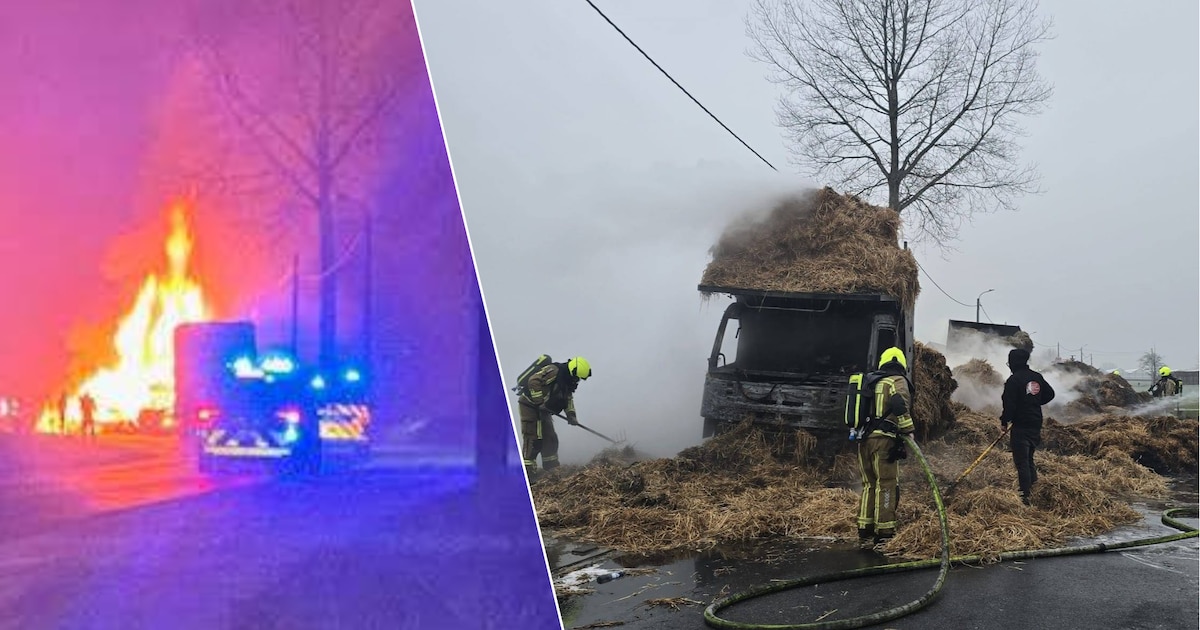 Vrachtwagen met hooi in lichterlaaie in Melsele | Beveren-Kruibeke ...