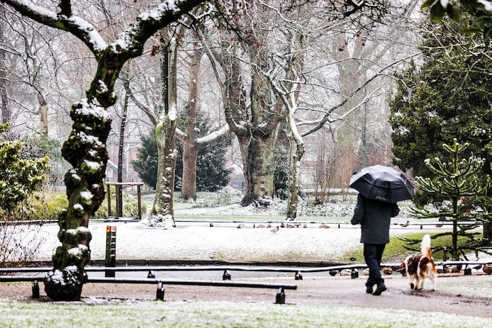 Stevige buienlijn met zware windstoten tot meer dan 100 per uur trekt vanmiddag over ons land ...