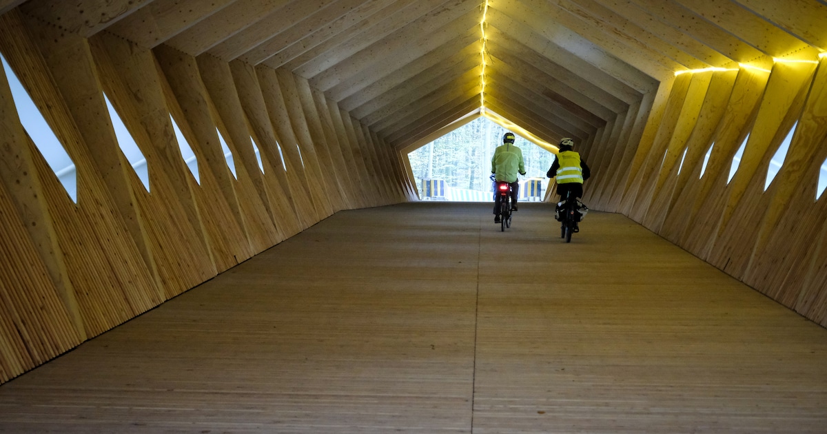 Houten fietsbrug over Vierarmenkruispunt eindelijk toegankelijk voor ...