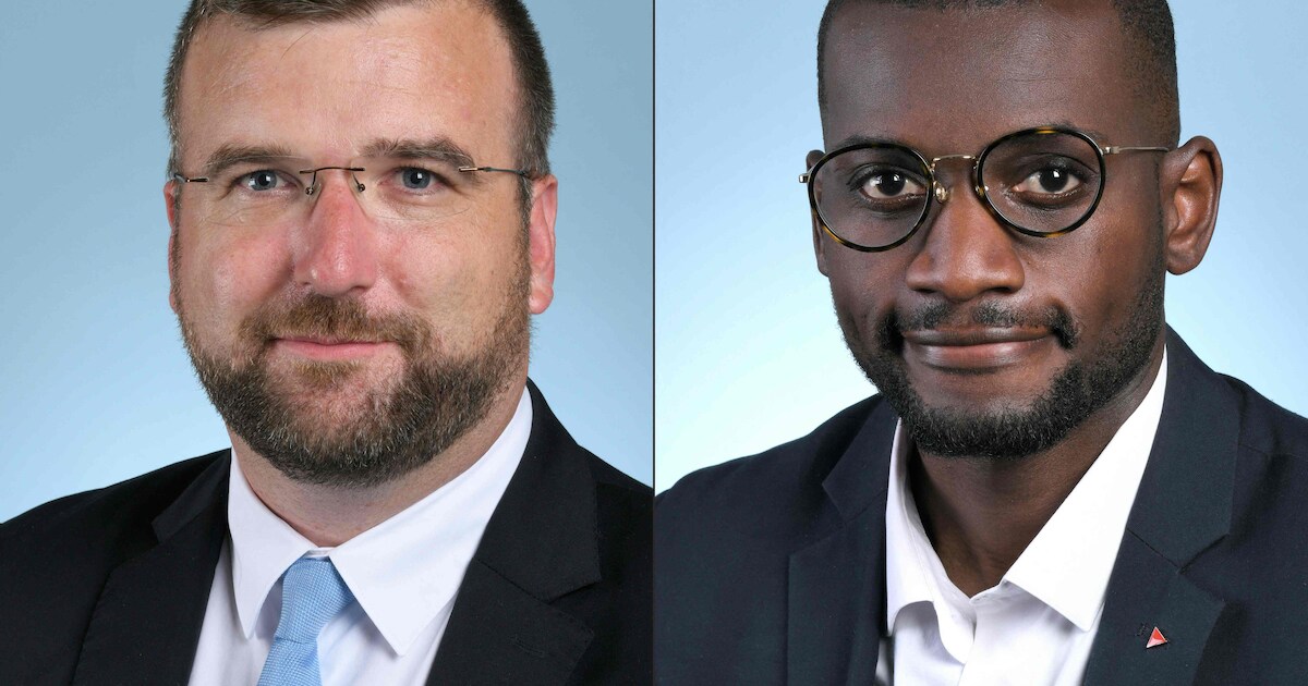 Frans parlementslid wordt 15 dagen geschorst nadat hij “keer terug naar ...