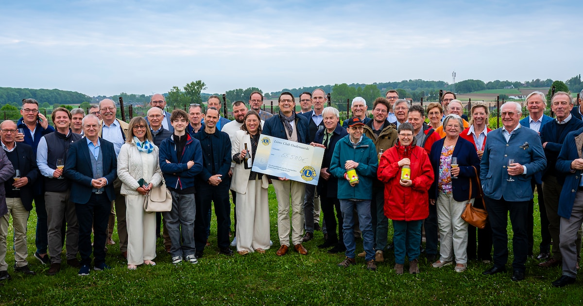 Lions Club verdeelt 55.000 euro onder vijftien goede doelen | Regio ...