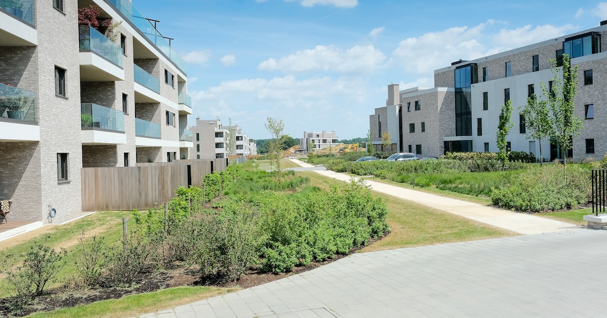Actiecomité Sterrebeek2000 dient bezwaar in tegen 67 nieuwe woningen ...